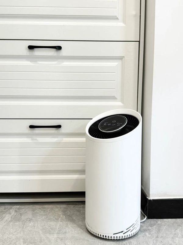 Compact Air Purifier Hepa Ionizer Activated Carbon Filtration with ...